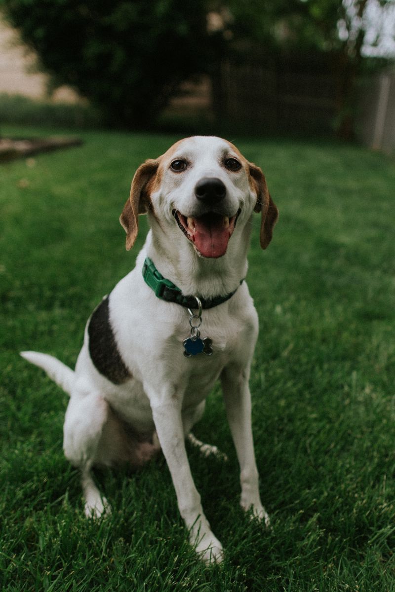 5 Morph-Approved Writing Tips – Liz Armbrecht