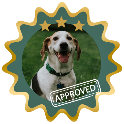 5 Morph-Approved Writing Tips – Liz Armbrecht